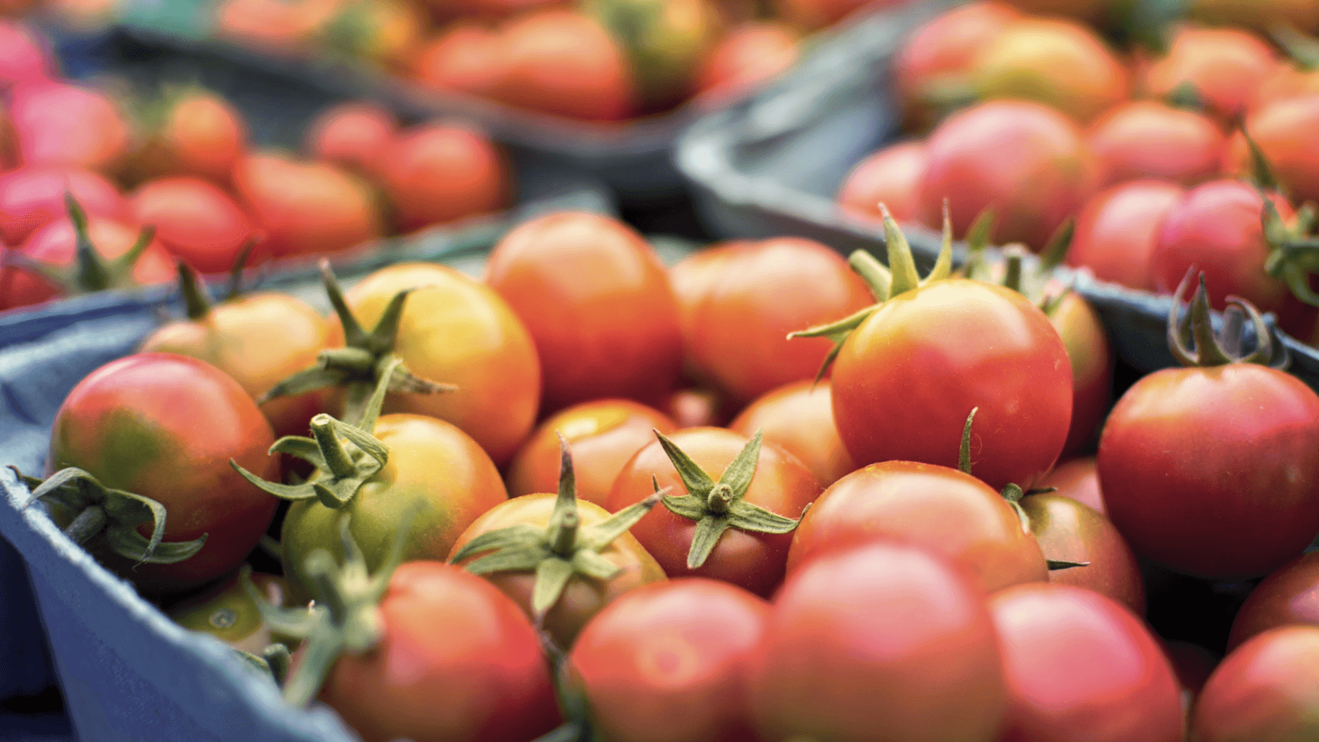 Good Small Farms – Farming in harmony with nature