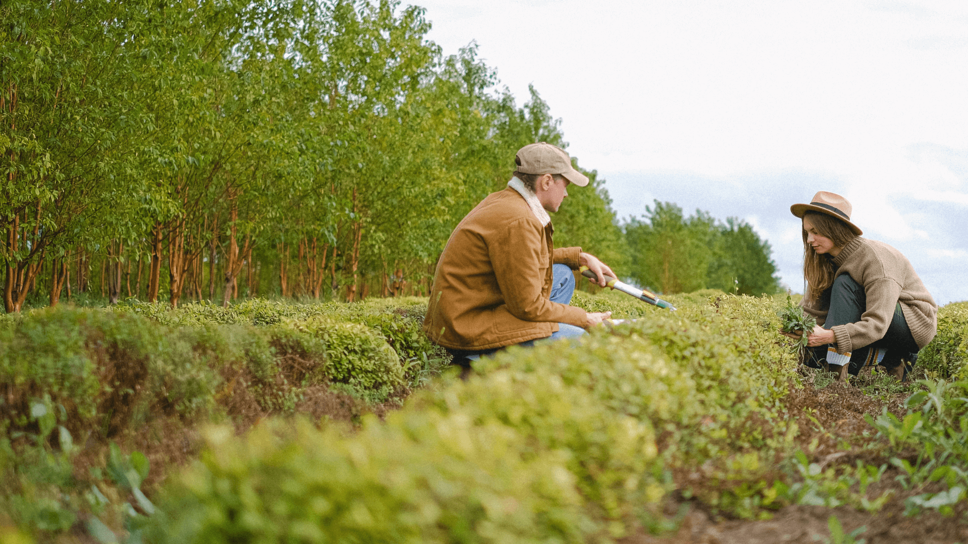 Good Small Farms – Farming in harmony with nature