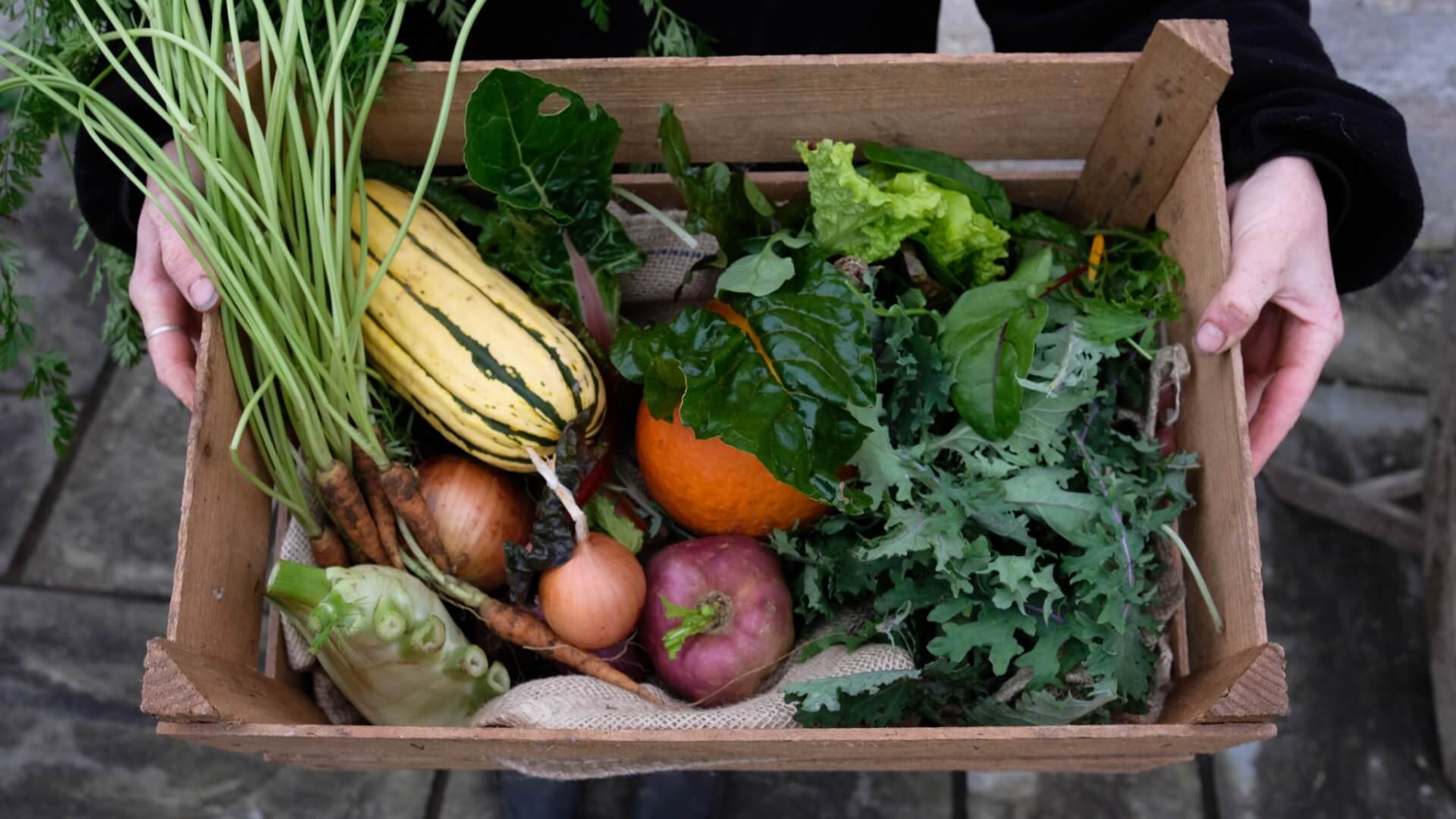 Our market garden – Good Small Farms