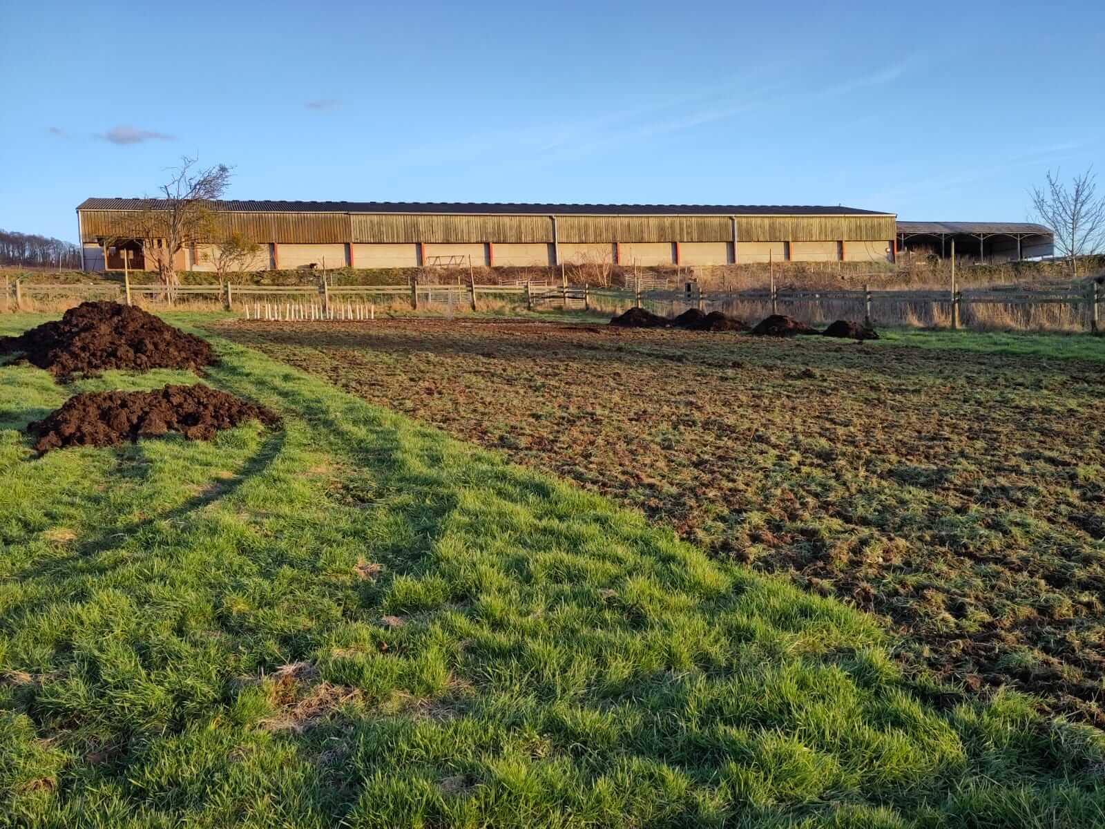 Tree Nursery & Orchard – Good Small Farms