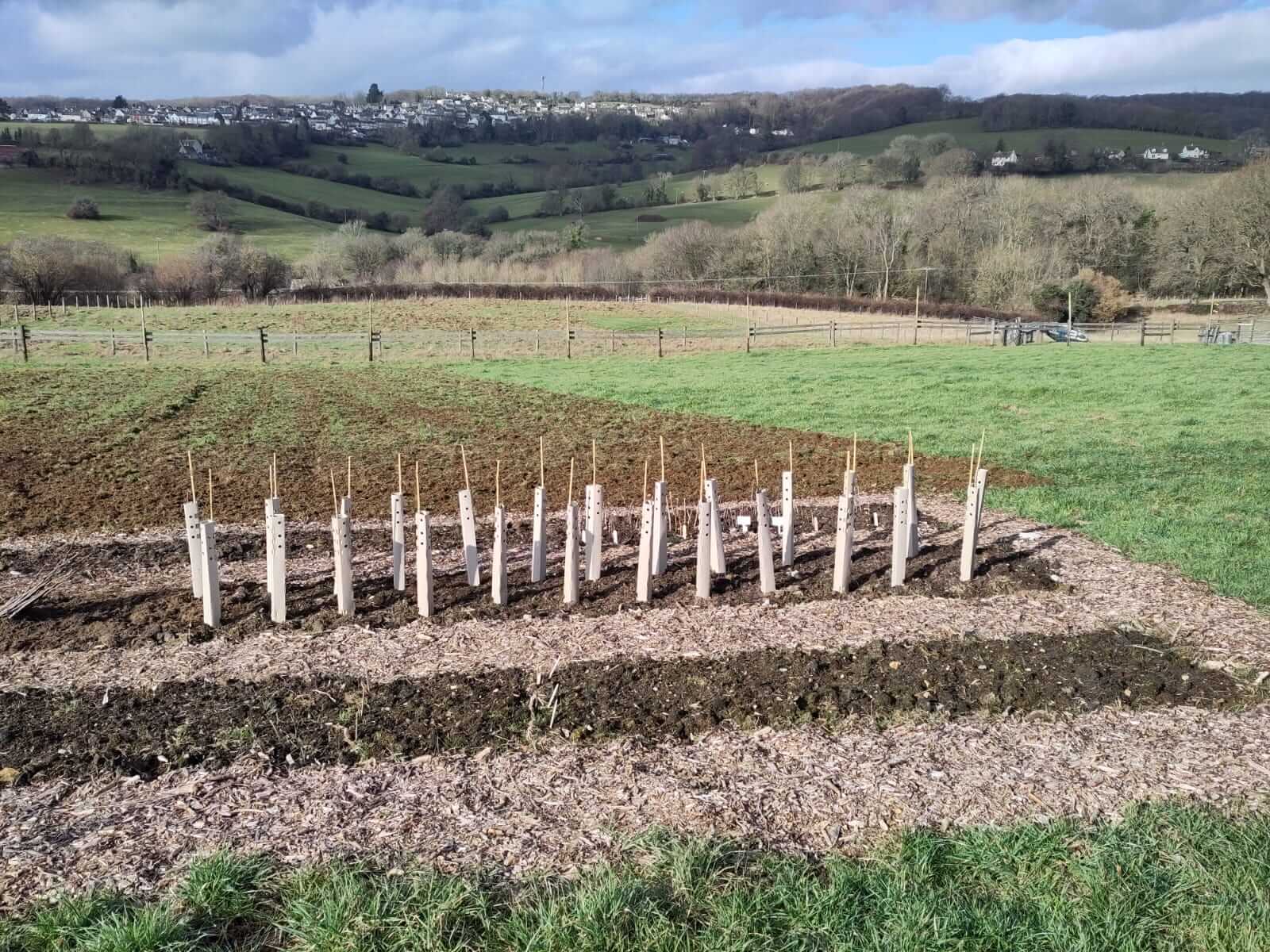 Tree Nursery & Orchard – Good Small Farms