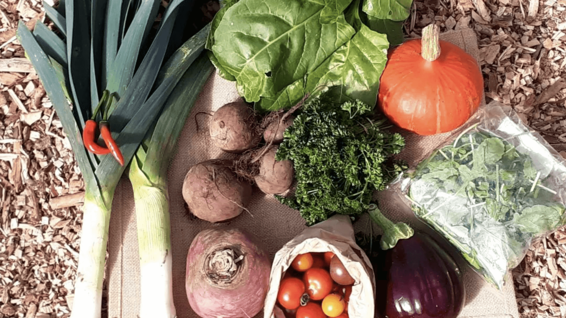 7 WAYS TO MAKE YOUR VEGETABLES LAST LONGER – Good Small Farms