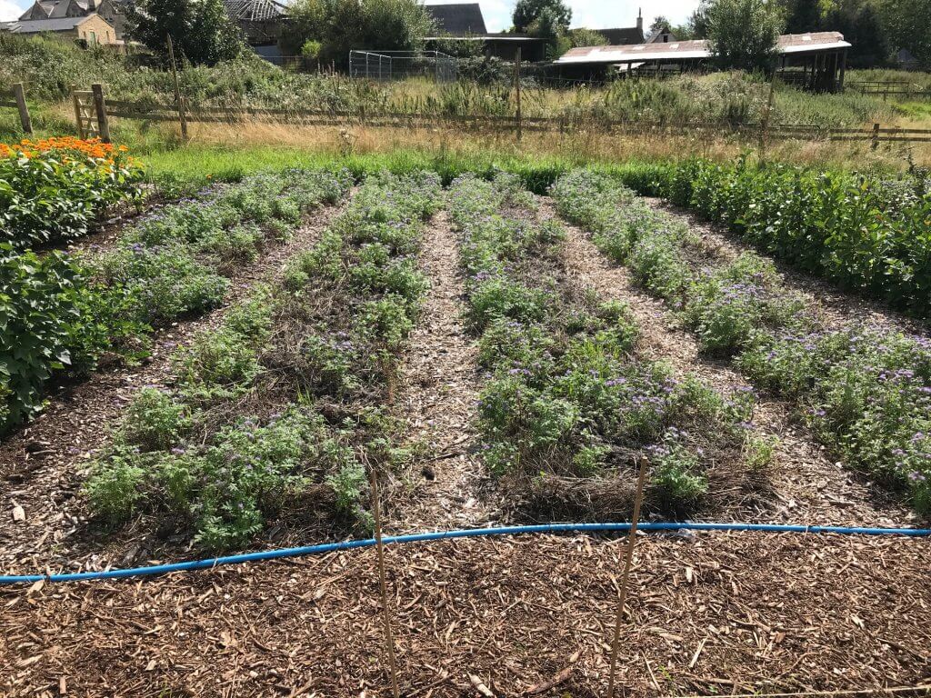 We’re creating an organic, native tree nursery – Good Small Farms
