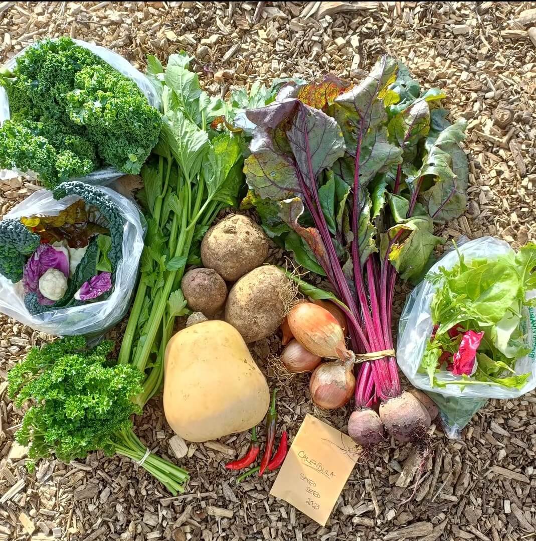 Good Small Farms – Farming in harmony with nature